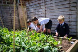 4 Easy Plants for Children to Grow | St Peter’s Prep
