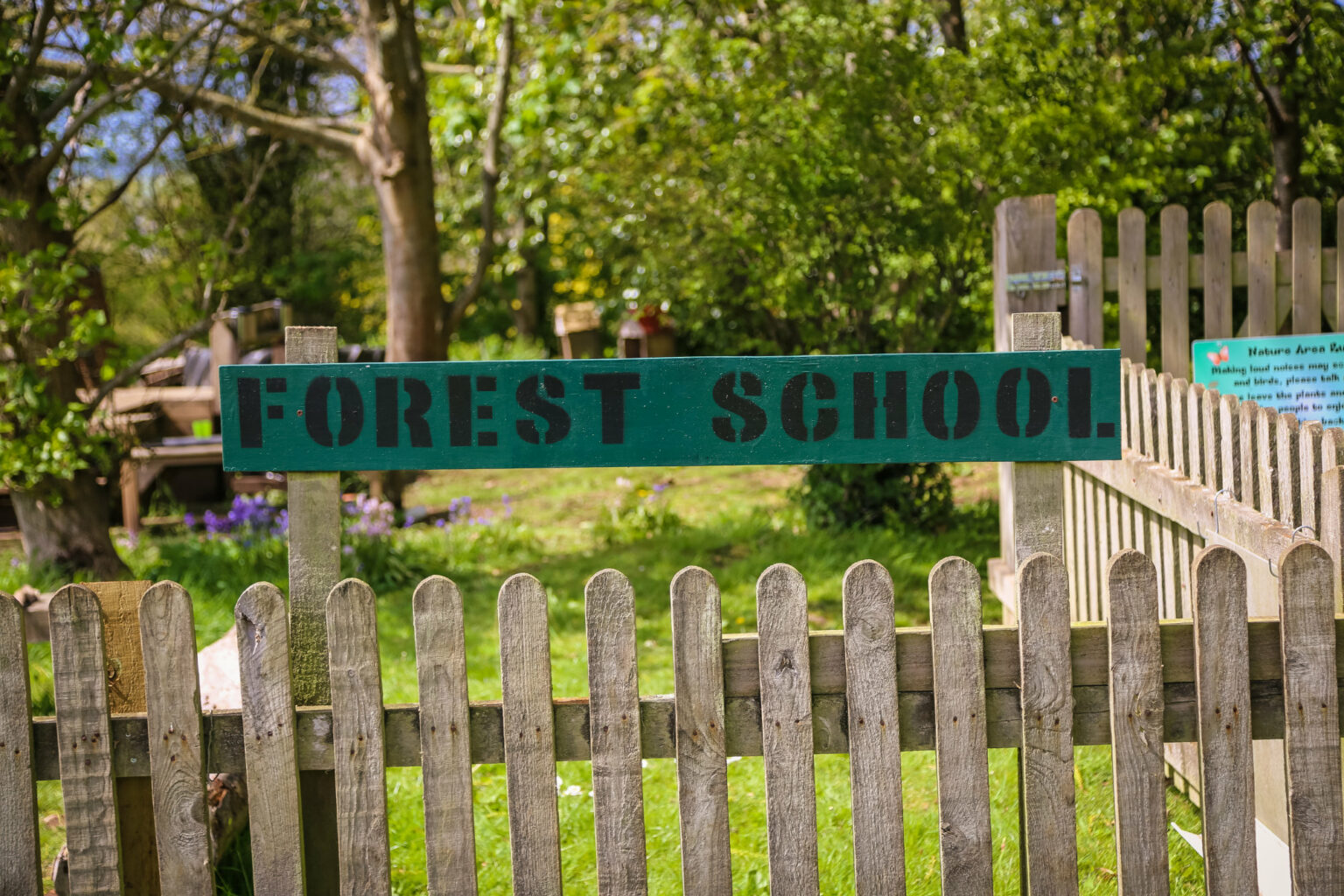 What is Forest School in Early Years? - St Peter's Prep School